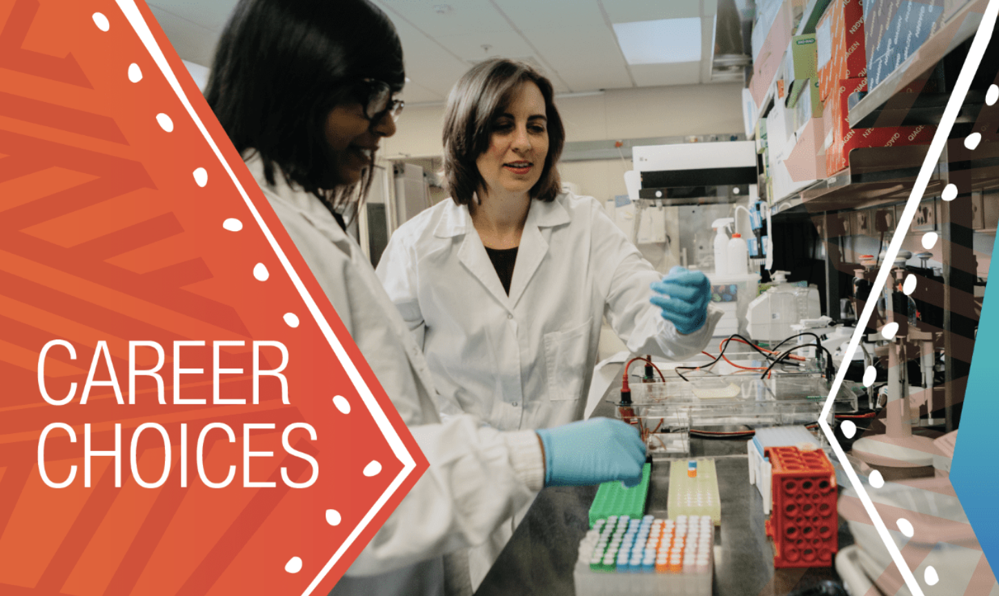 SANTHE: Biomedical Post-doctoral Fellowship | SANTHE (Sub-Saharan ...